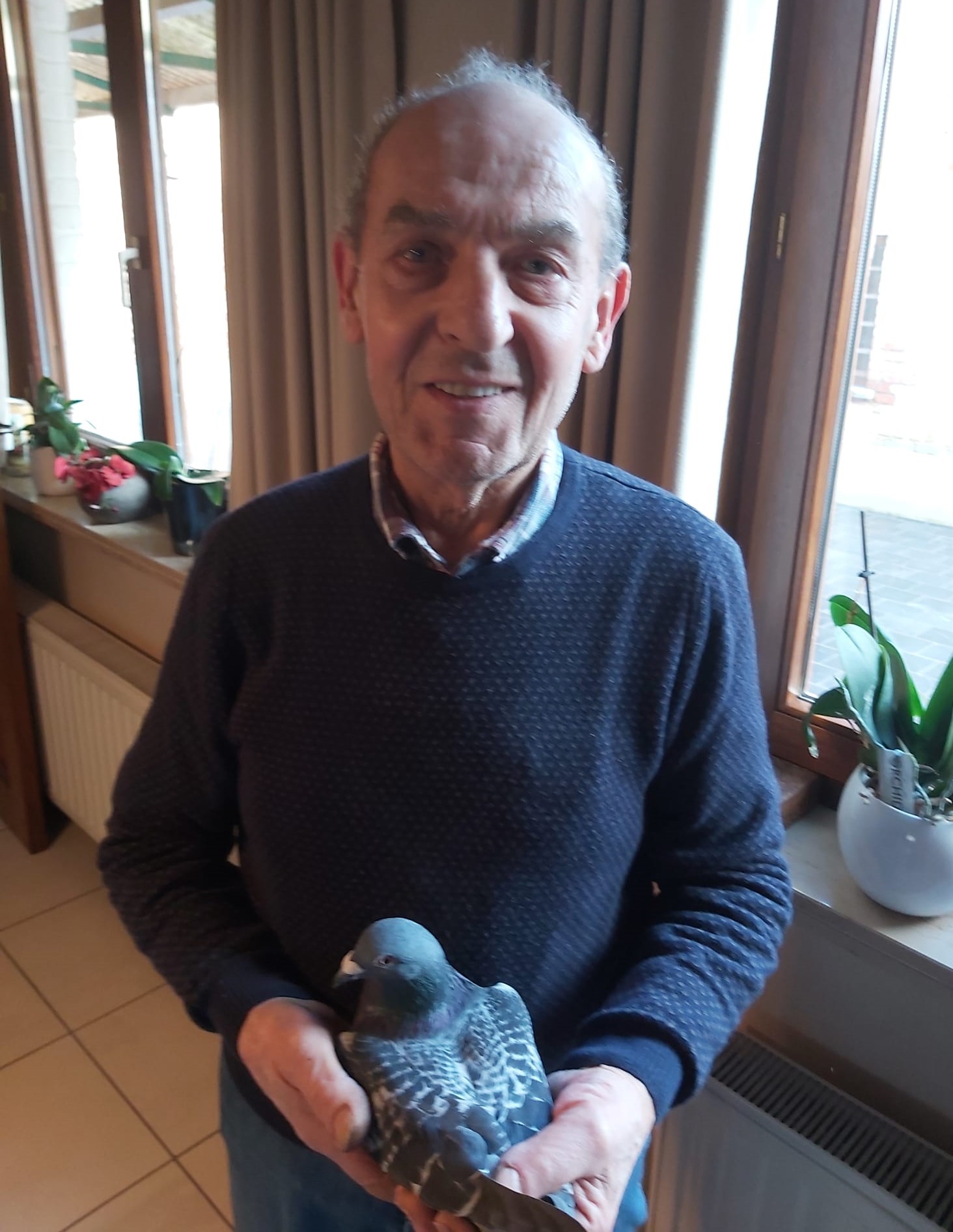 Bon 36 : Van Der Straeten Maurits :: doewelmazenzele